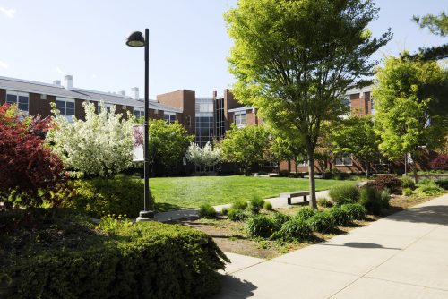 New York College Campus Locations | Adelphi University