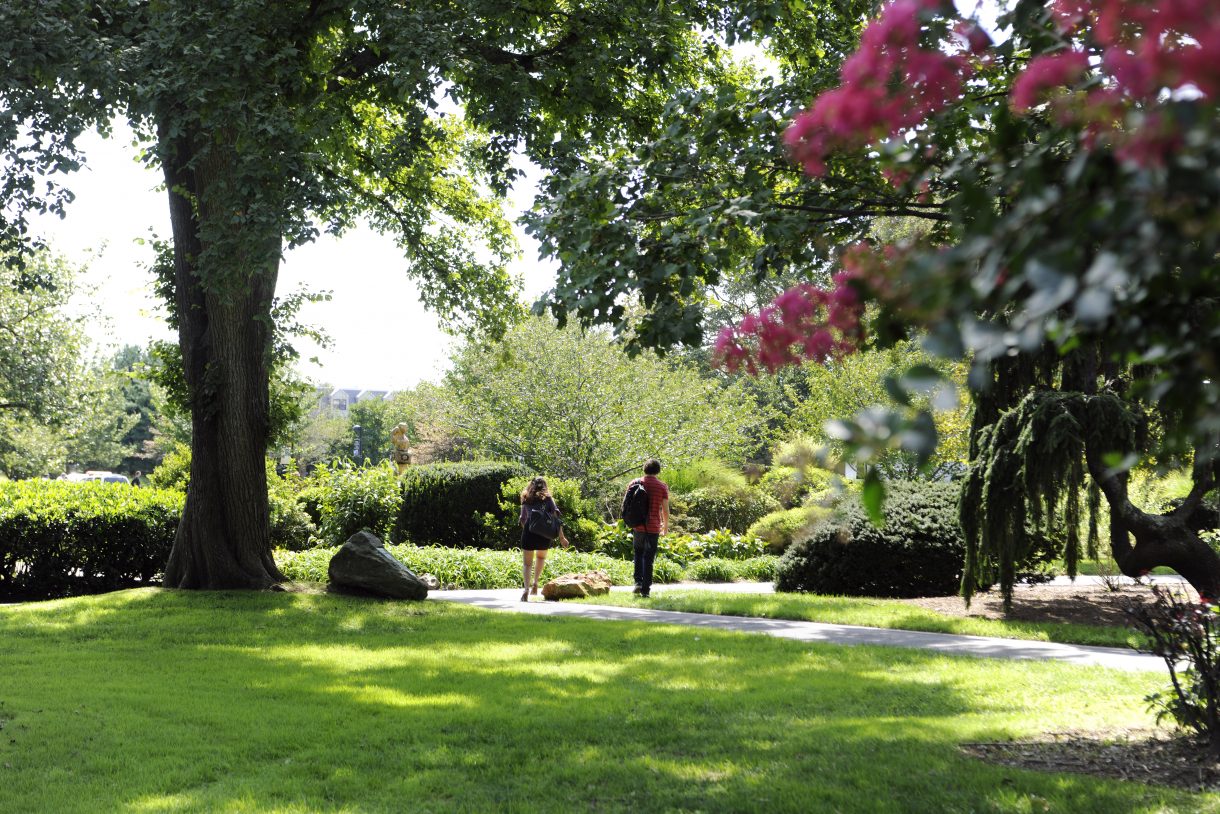 New York College Campus Locations | Adelphi University