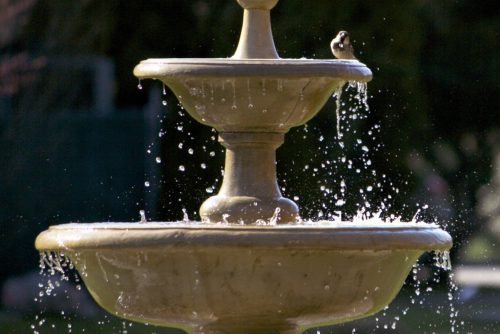 New York College Campus Locations | Adelphi University