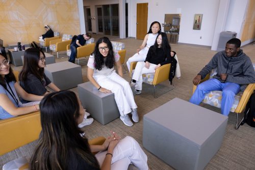 Signature Programs | Academics at Adelphi University