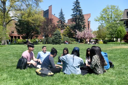 Adelphi University Admissions - Undergrad, Grad & Transfer Admissions