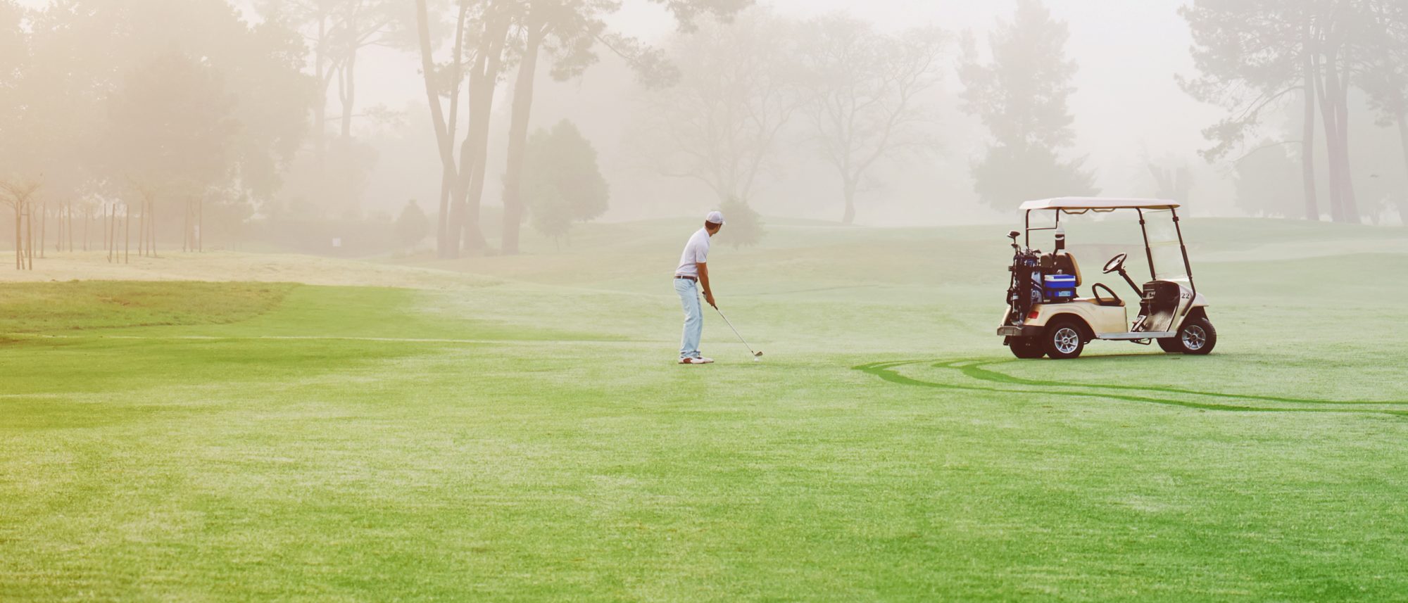 Adelphi University Golf Classic | Fundraiser for Student-Athletes