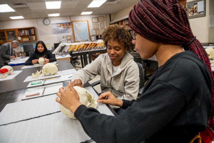 College of Arts and Sciences | Liberal Arts | Adelphi University