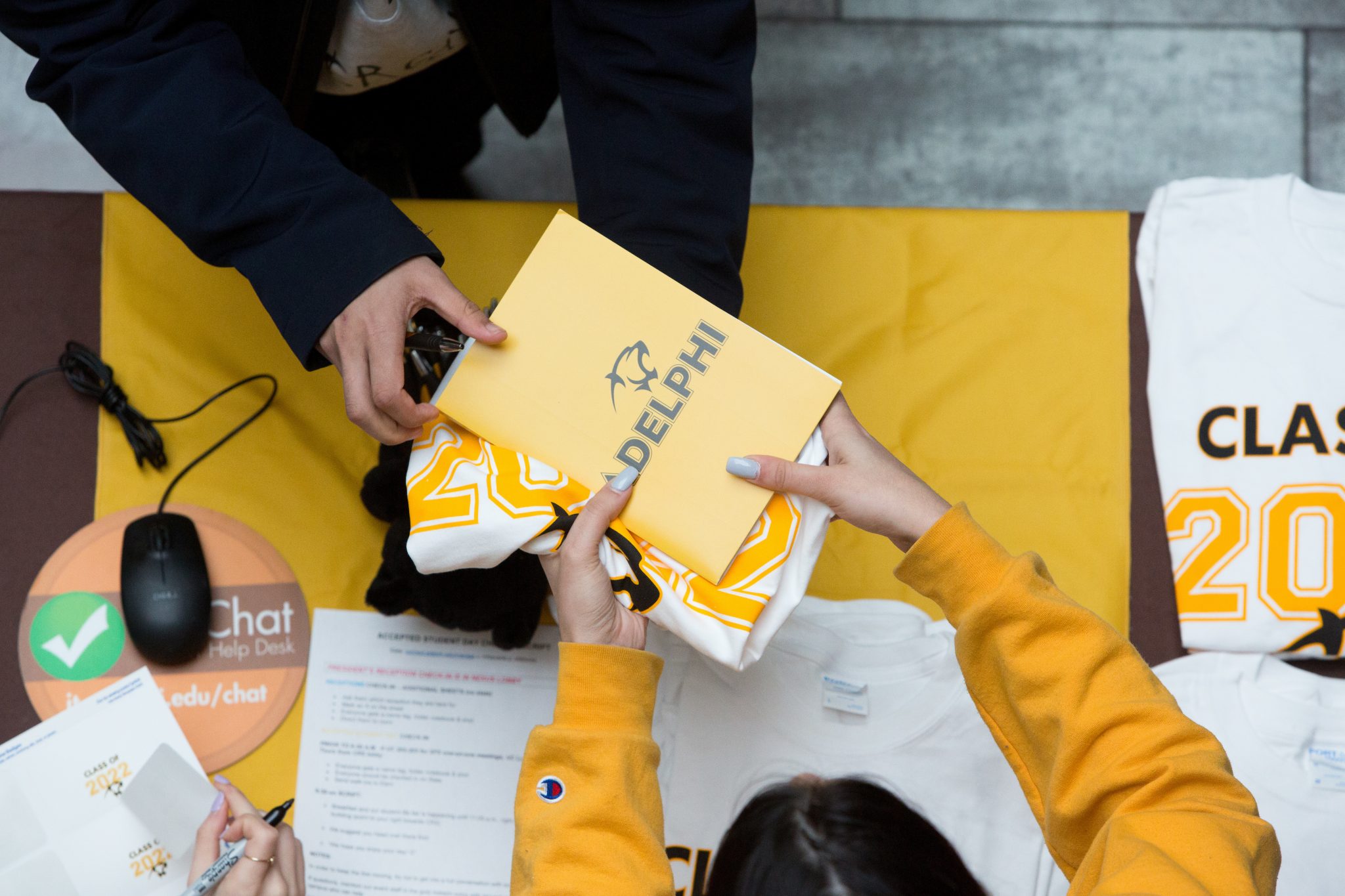 Design and Identity | Branding | Adelphi University