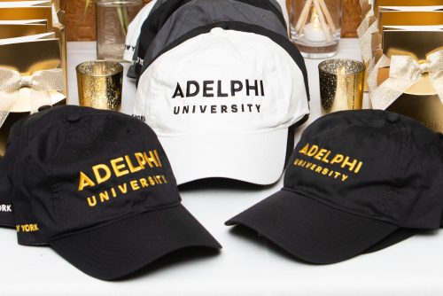 Style Guide and Brand Center | Media and Logos | Adelphi University