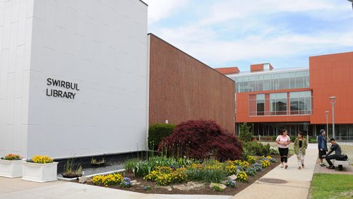 Zoom Backgrounds | Brand Identity | Adelphi University