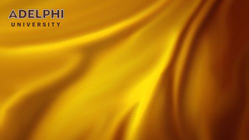 Zoom Backgrounds | Brand Identity | Adelphi University