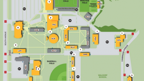 Campus Map | Brand Identity | Adelphi University