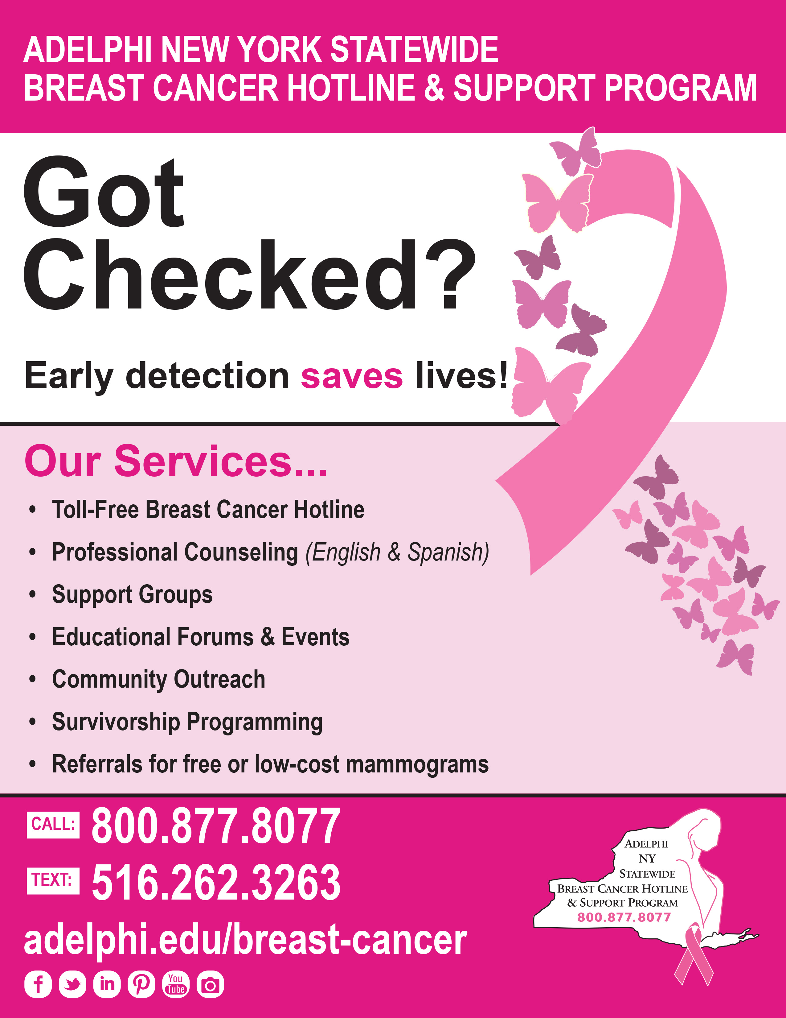 Newsletter | Breast Cancer Hotline & Support Program at Adelphi University