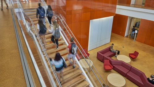 School of Business | Business Degrees | Adelphi University