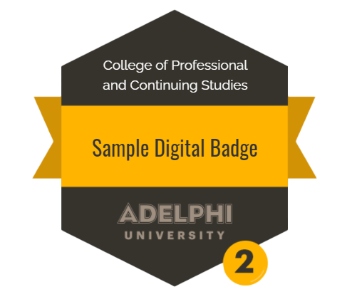 Continuing Education at Adelphi University