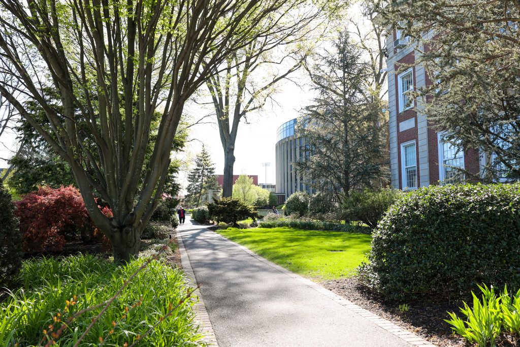 Leadership Recognition & Giving Societies | Adelphi University