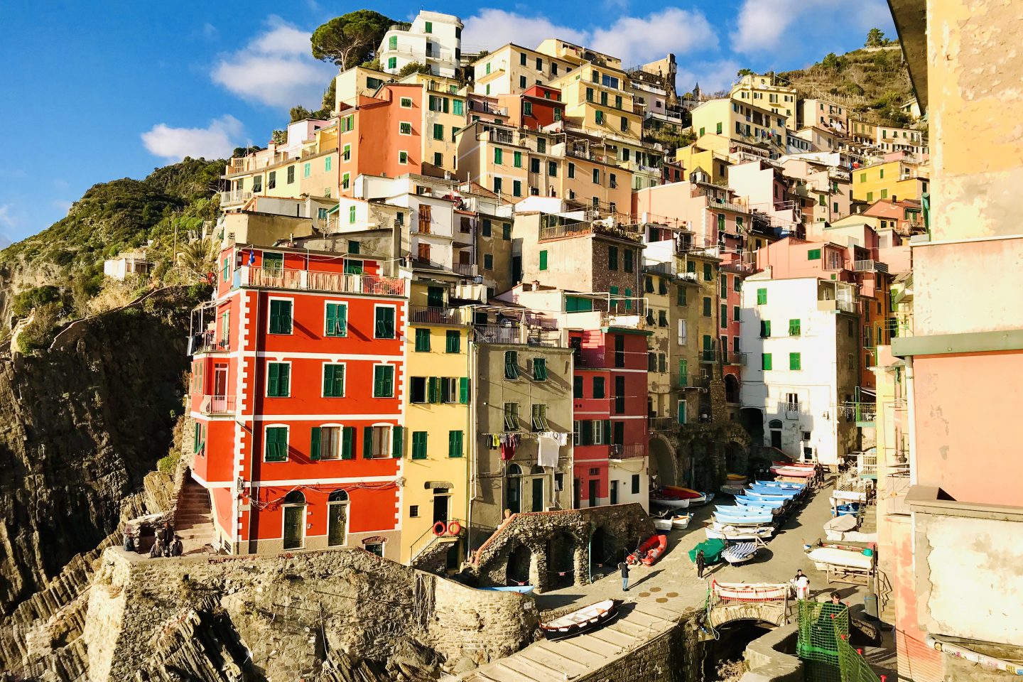 International Education Week - Adelphi University