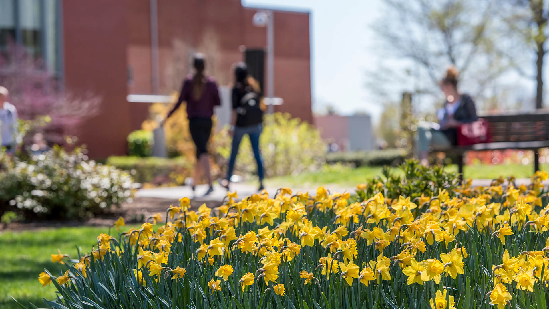 Connect with Admissions | High School Counselors | Adelphi University