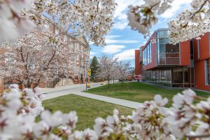 Educational Cost | Adelphi University