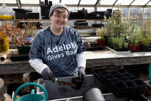 Adelphi PATH Curriculum | General Education Requirements