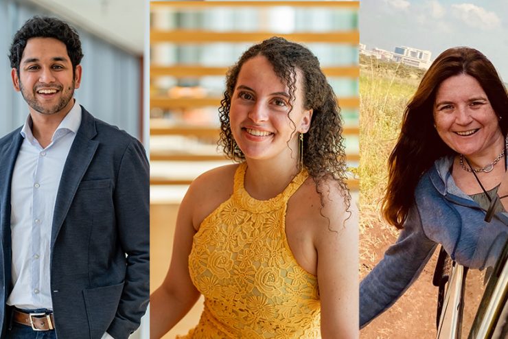 Continuing Education | Professional Development | Adelphi University