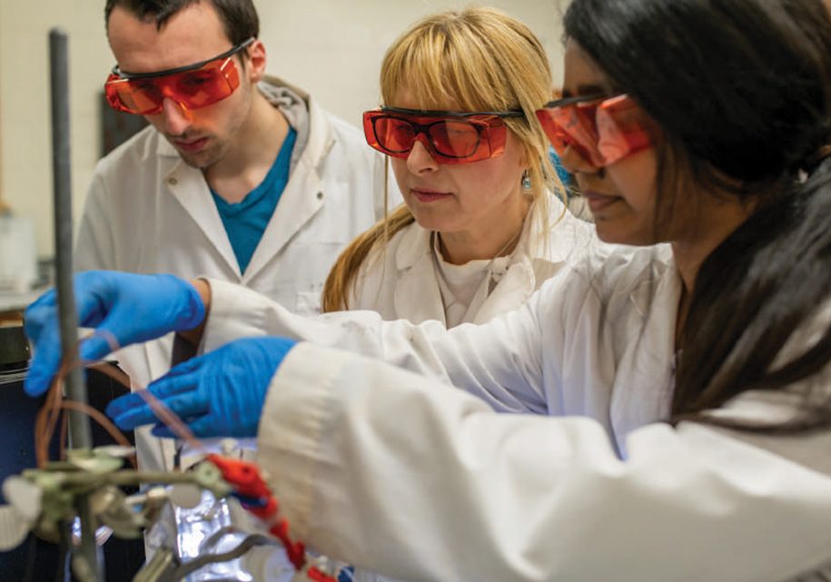 About the SPARK Center | Undergraduate Research at Adelphi