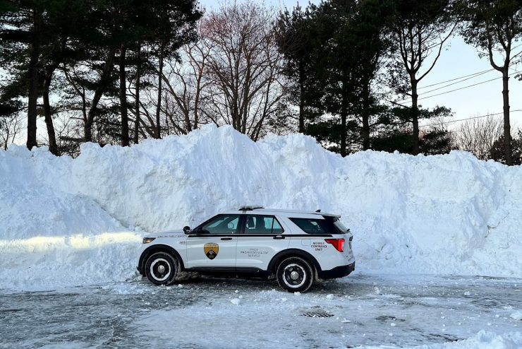 Public Safety & Transportation | Adelphi University