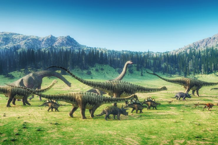 Goal 1: Academic Distinction in Our Core Four | Adelphi Strategic Plan