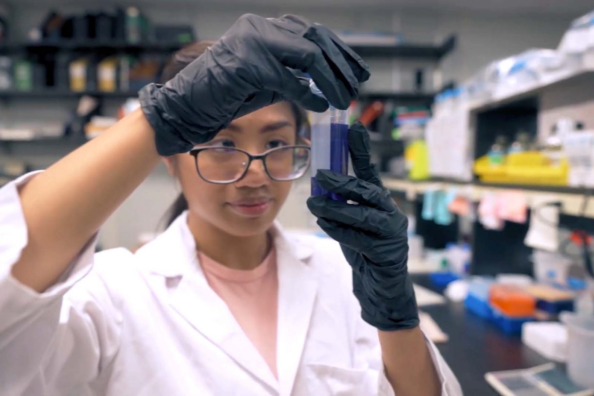 The College Tour at Adelphi University