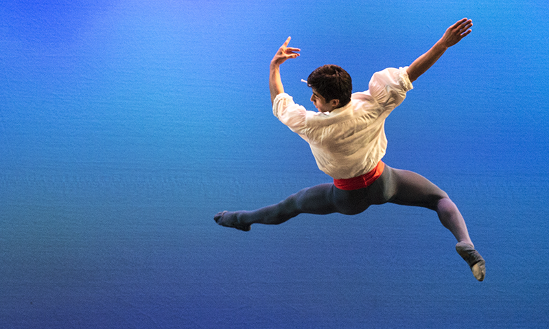 Explore the Dance Department | Adelphi University