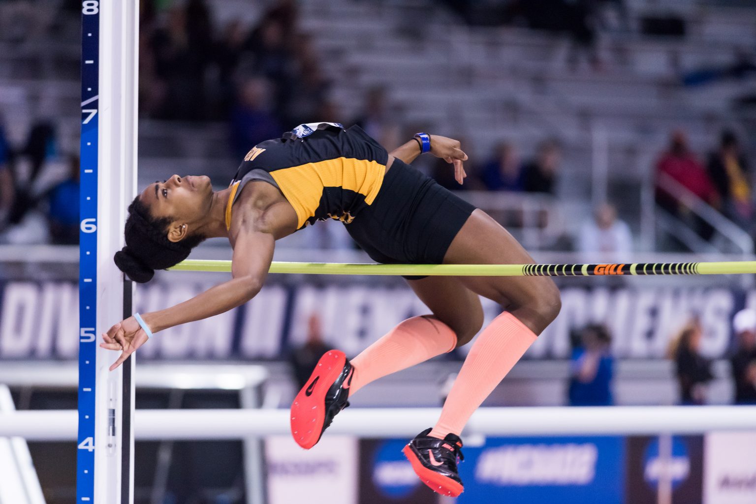 Adelphi Athletics Winning Ways Are Winning Fans