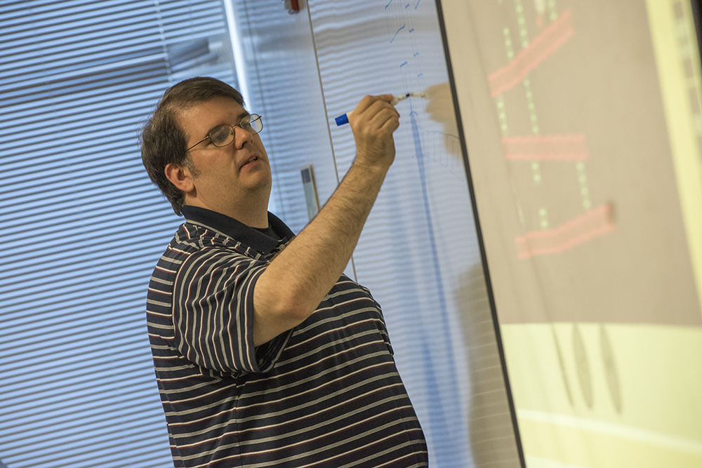 Working Together So Others Can Play | Adelphi University