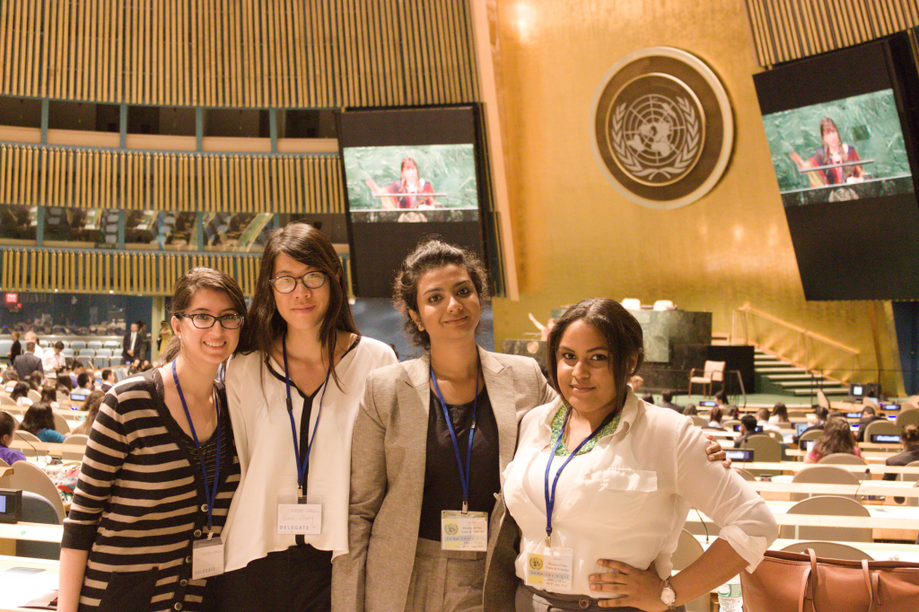 National Model United Nations Conference | Adelphi University