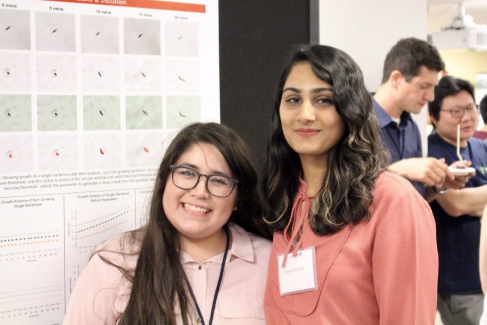 How a Harvard-MIT Internship Ignited a Passion for Science | Adelphi ...