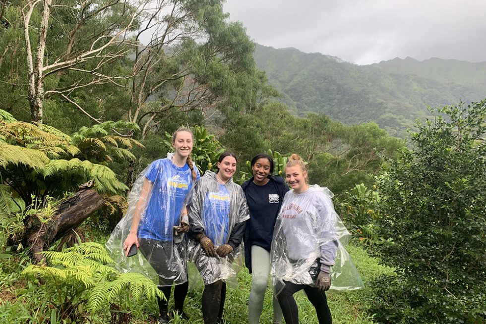 Community Engagement on Long Island—and Across the World