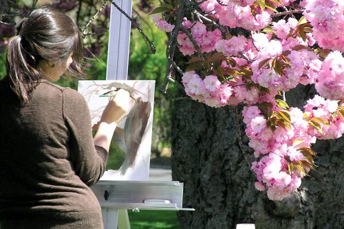 Bachelor’s Degree in Studio Art - BA & BFA Degree Programs