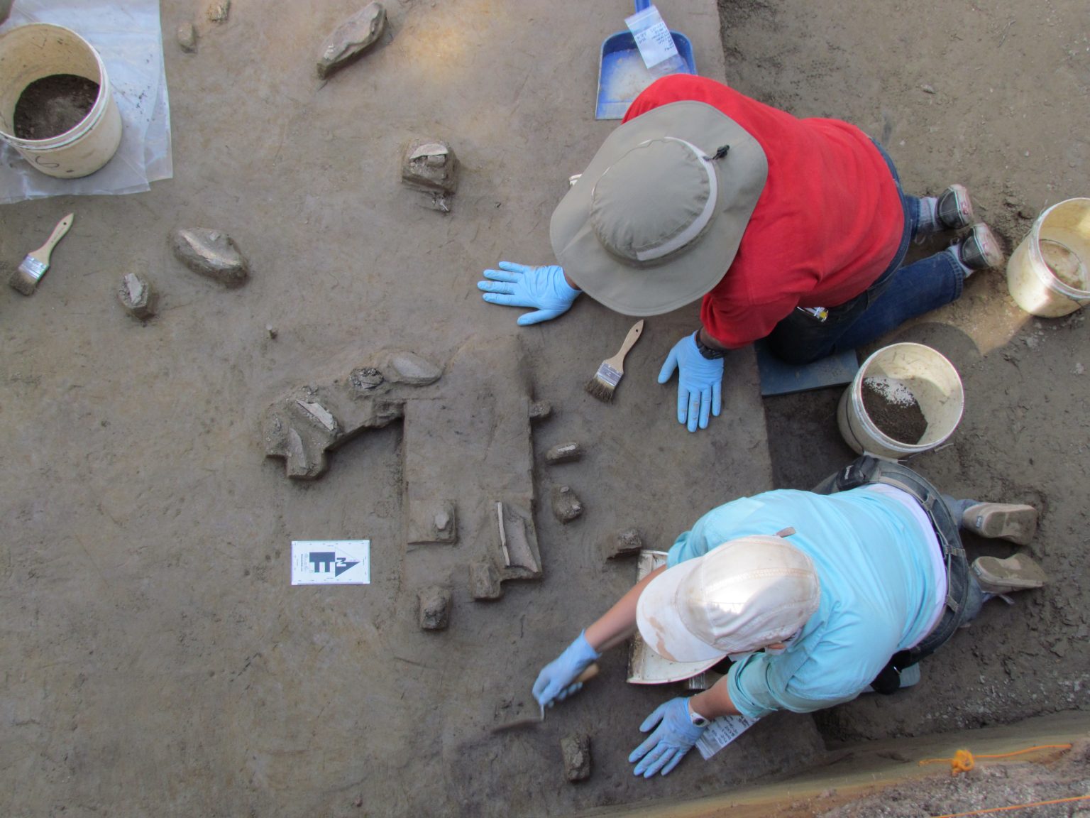 Anthropology Bachelor’s Degree Program in New York | Anthropology Major