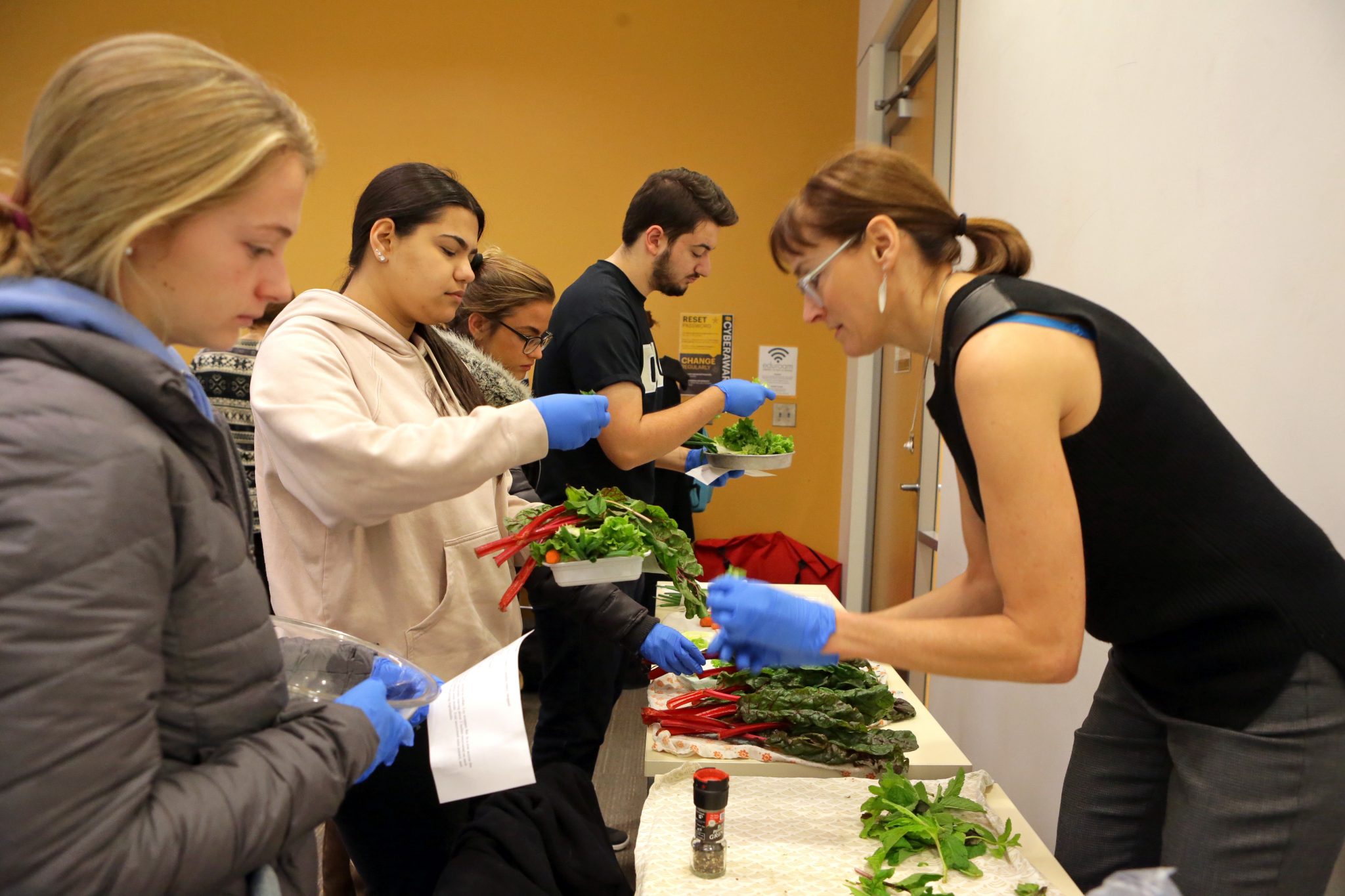 Minor in Food Studies | Food Studies Programs NY | Adelphi University