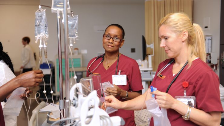 Adelphi University Accelerated BSN: Fast-Track Path for Those Switching ...