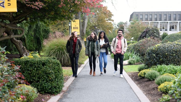 Adelphi University | Higher Education College | New York