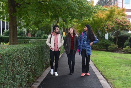Bachelor s Degree In Spanish Spanish Bachelor Degree Program NY bachelor-s-degree-in-spanish-spanish-bachelor-degree-program-ny