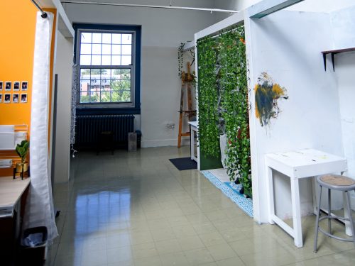 Bachelor’s Degree in Studio Art - BA & BFA Degree Programs