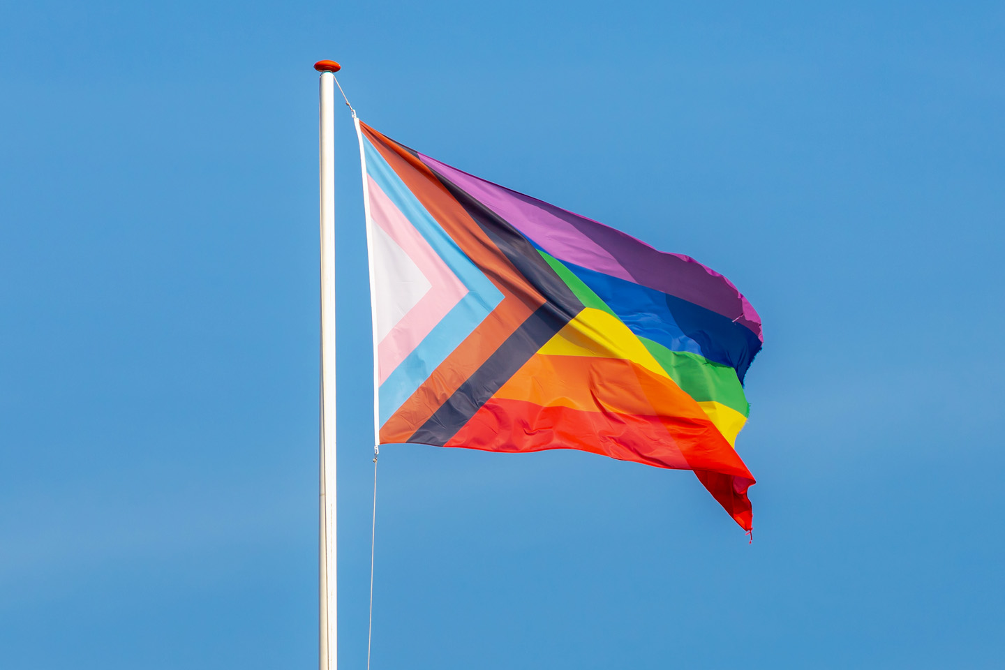 New Flag Is a Symbol of LGBTQ+ Progress and Inclusion | Adelphi University New Flag Is a Symbol of LGBTQ+ Progress and Inclusion | Adelphi University