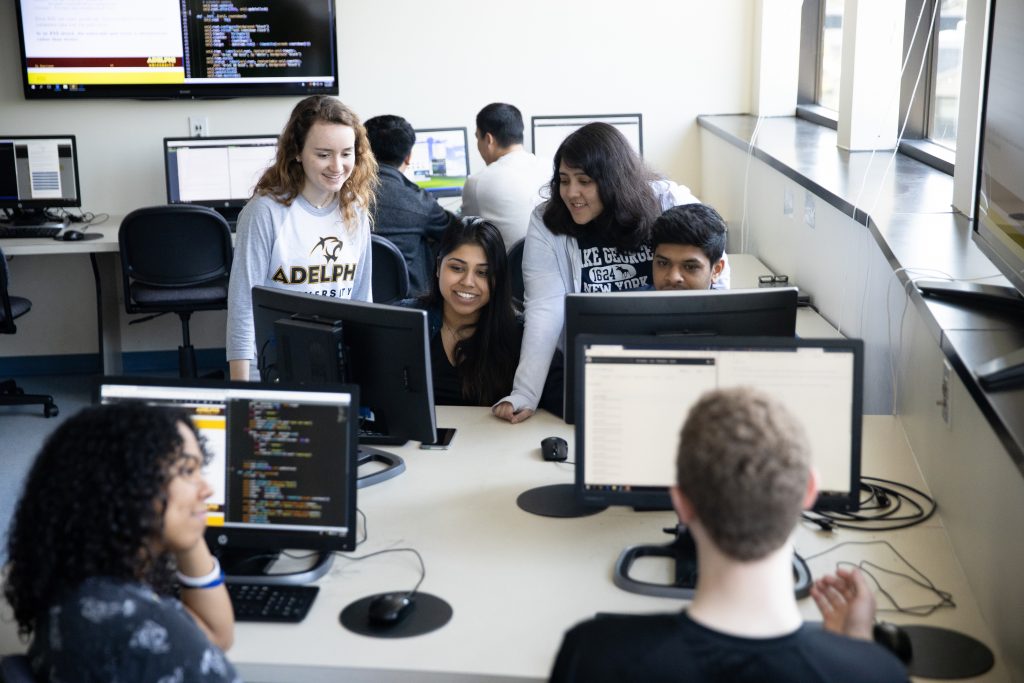 Minor in Cybersecurity - Computer Science | Adelphi University