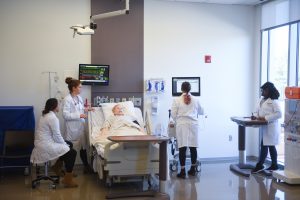 Accelerated Nursing Program | Adelphi ABSN Program