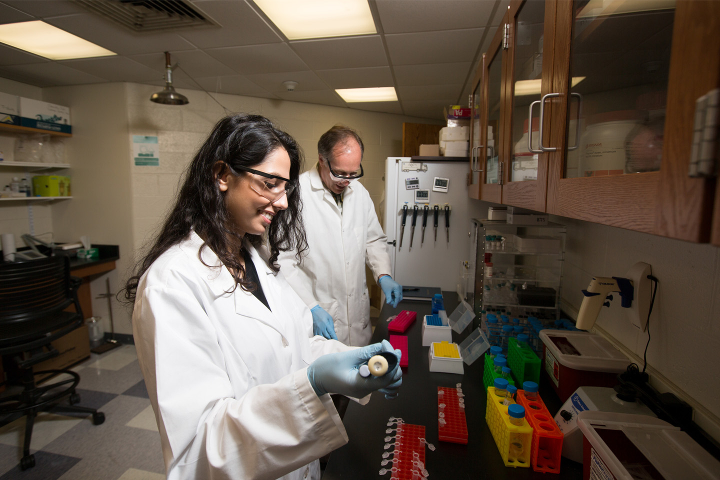Adelphi Faculty and Students Engaged in Smart-Drug Design Research ...