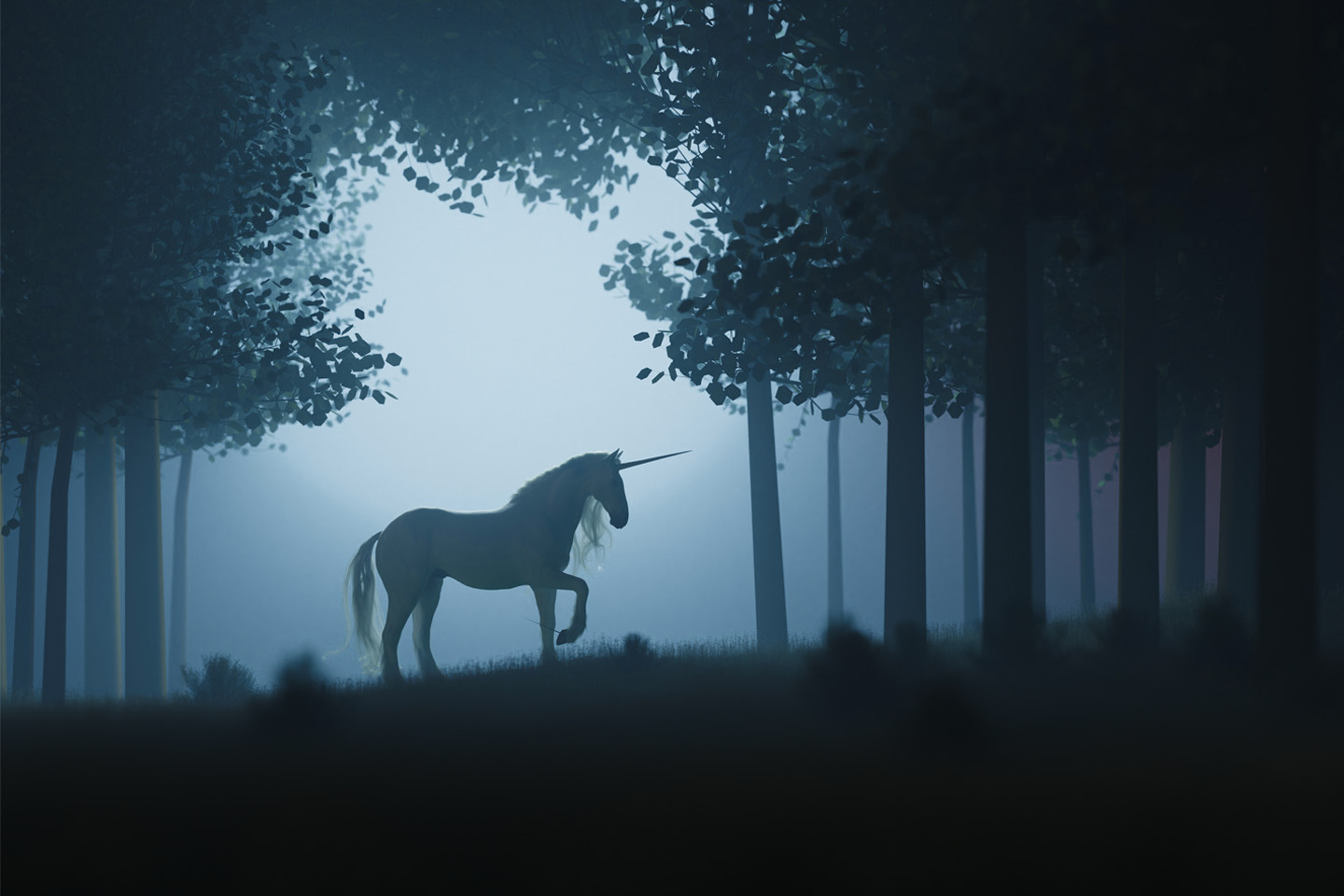 A Scholar Examines Unicorn Magic Adelphi University a-scholar-examines-unicorn-magic-adelphi-university