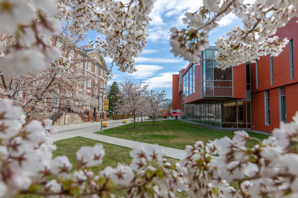 Postponed Spring Break Maintenance 2025 | Adelphi University