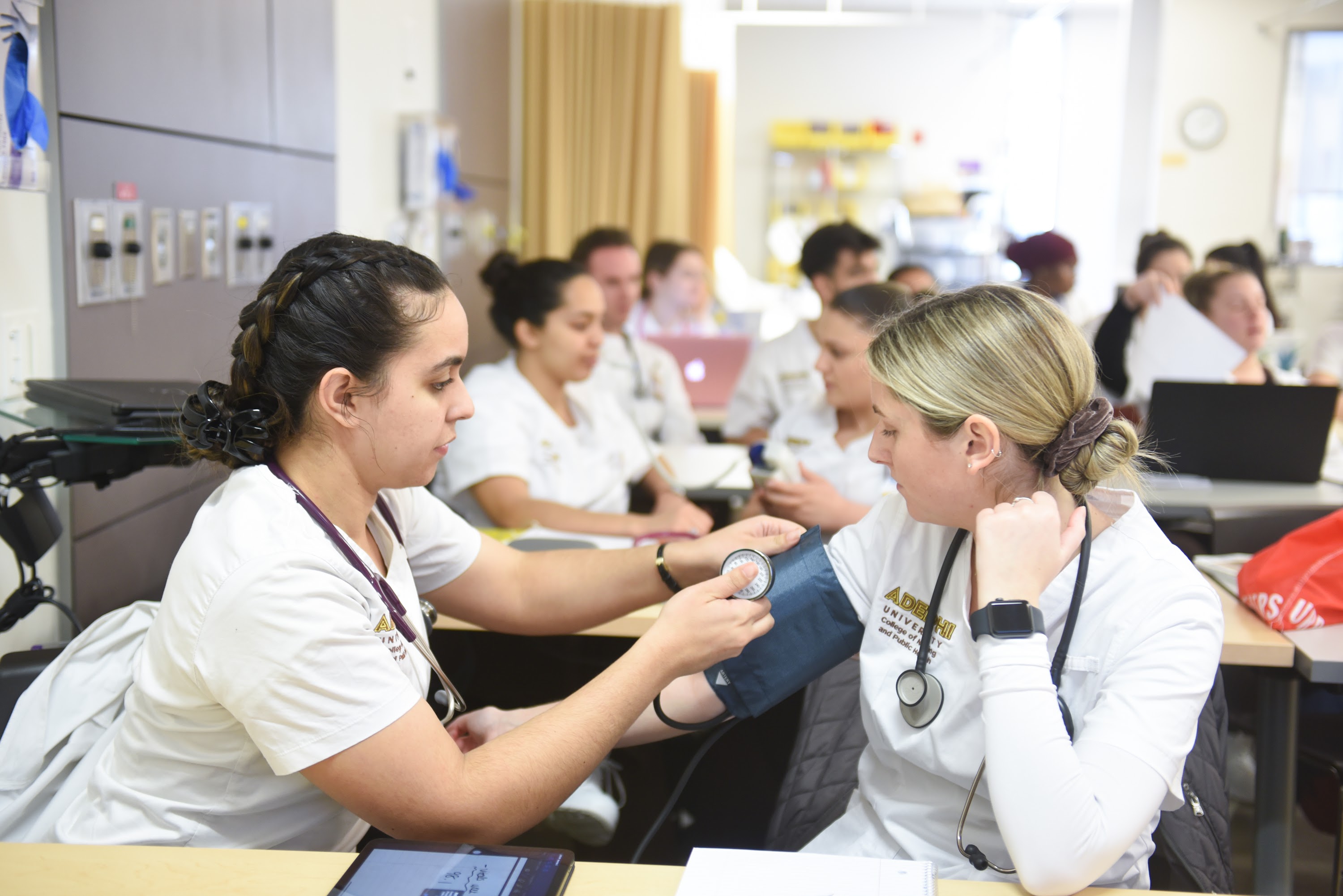 FAQs for the Accelerated BS in Nursing Program | Adelphi University FAQs for the Accelerated BS in Nursing Program | Adelphi University