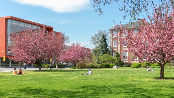 Adelphi University | Higher Education College on Long Island, NY