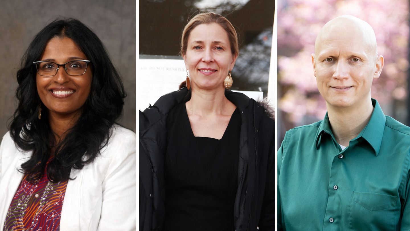 Social Work Faculty Put Their Knowledge to Work | Adelphi University