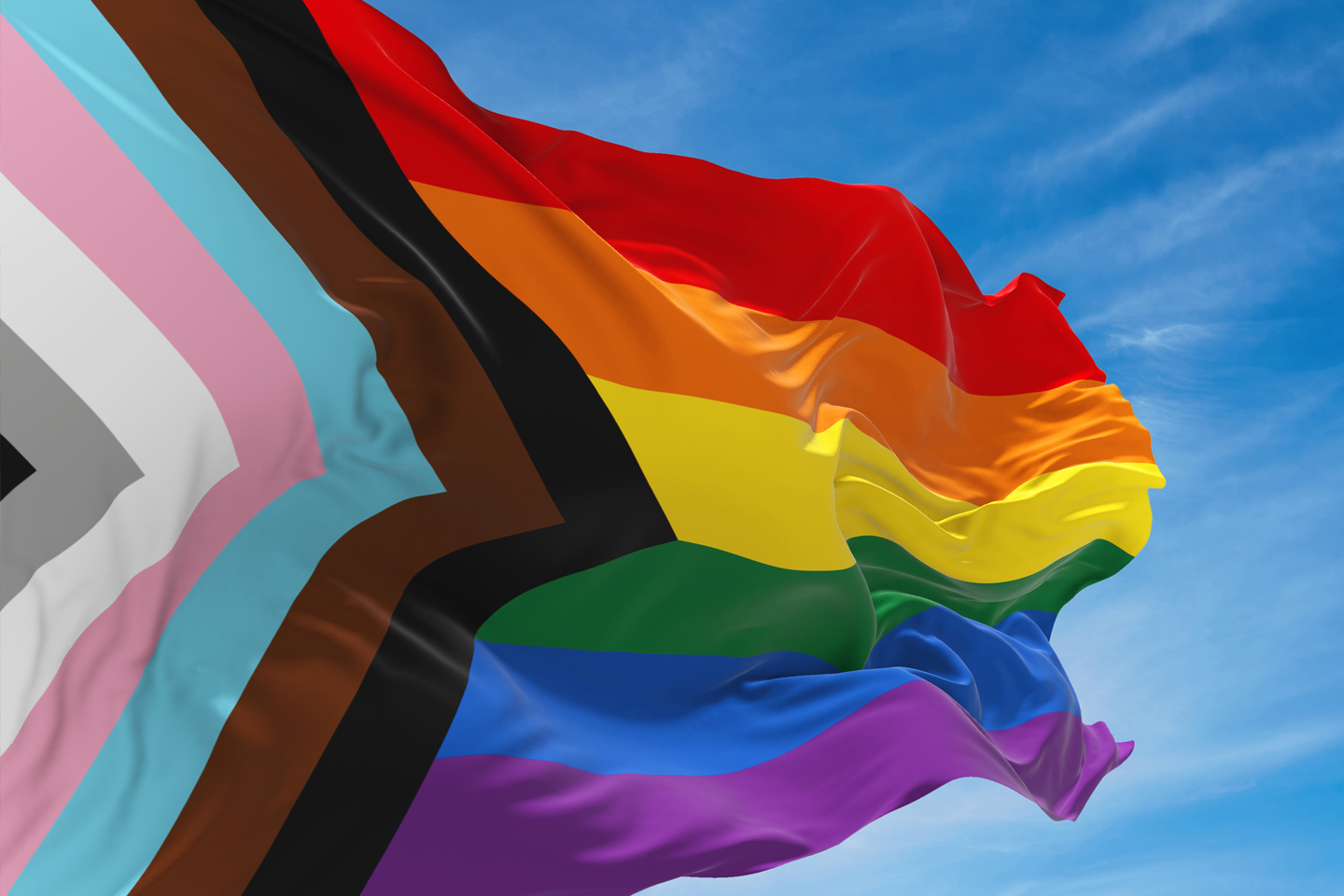 The Adelphi Pride Committee: “Promoting inclusivity and acceptance ...