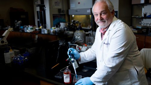 Rewiring the Anxious Brain | Adelphi University