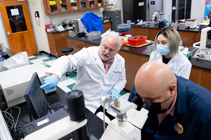 Rewiring the Anxious Brain | Adelphi University